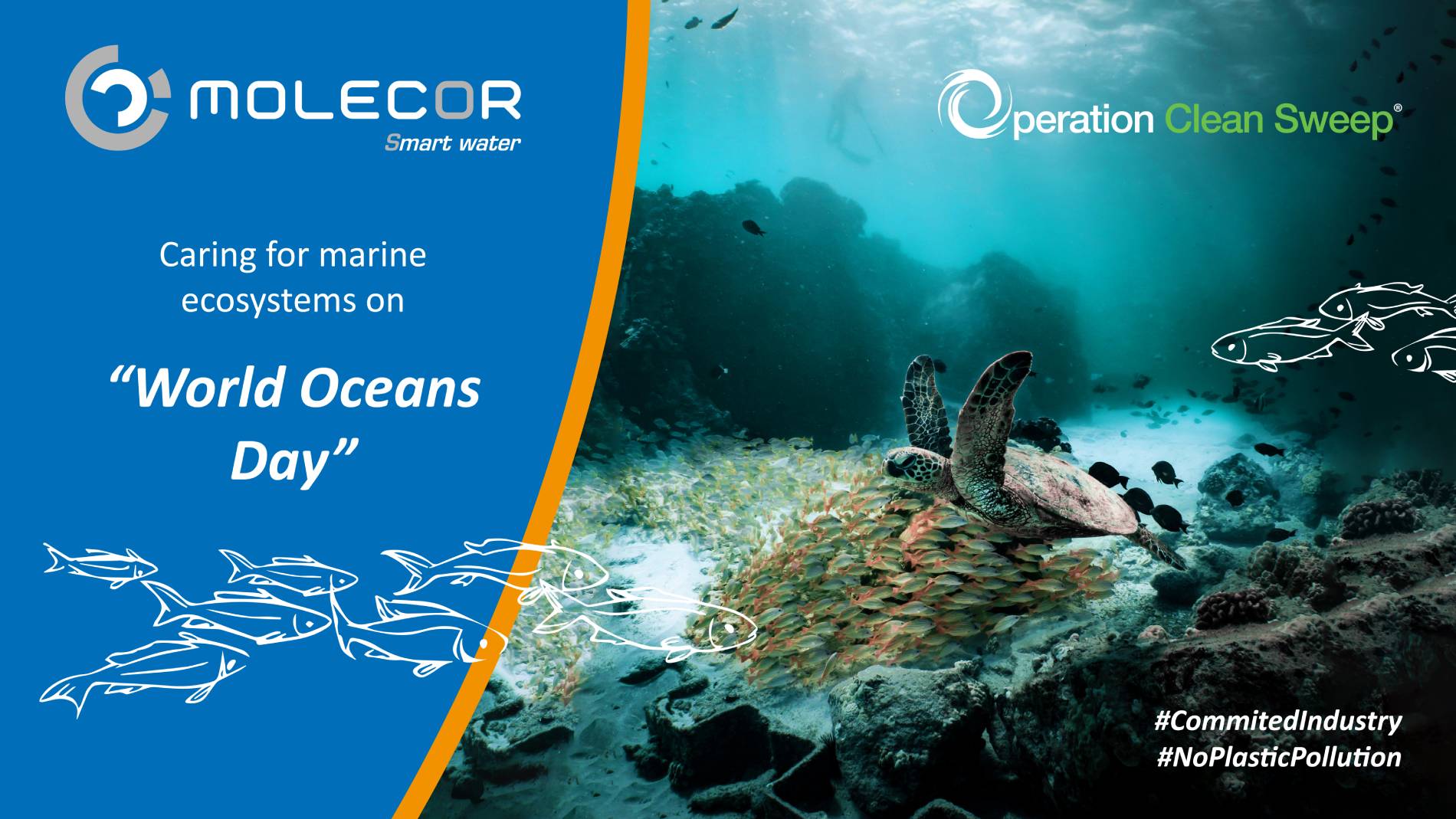 Molecor Joins the Cause to Protect Marine Ecosystems on “World Oceans ...